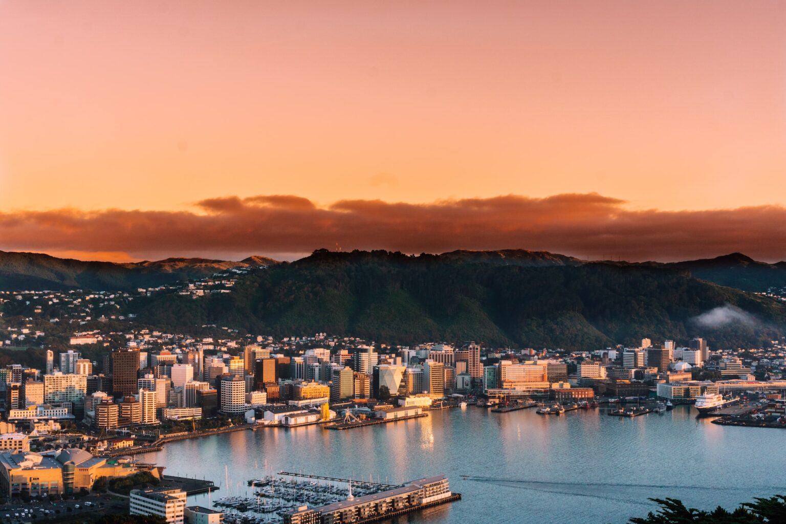Wellington Shuttles - Your Trusted Transport Partner in the Capital